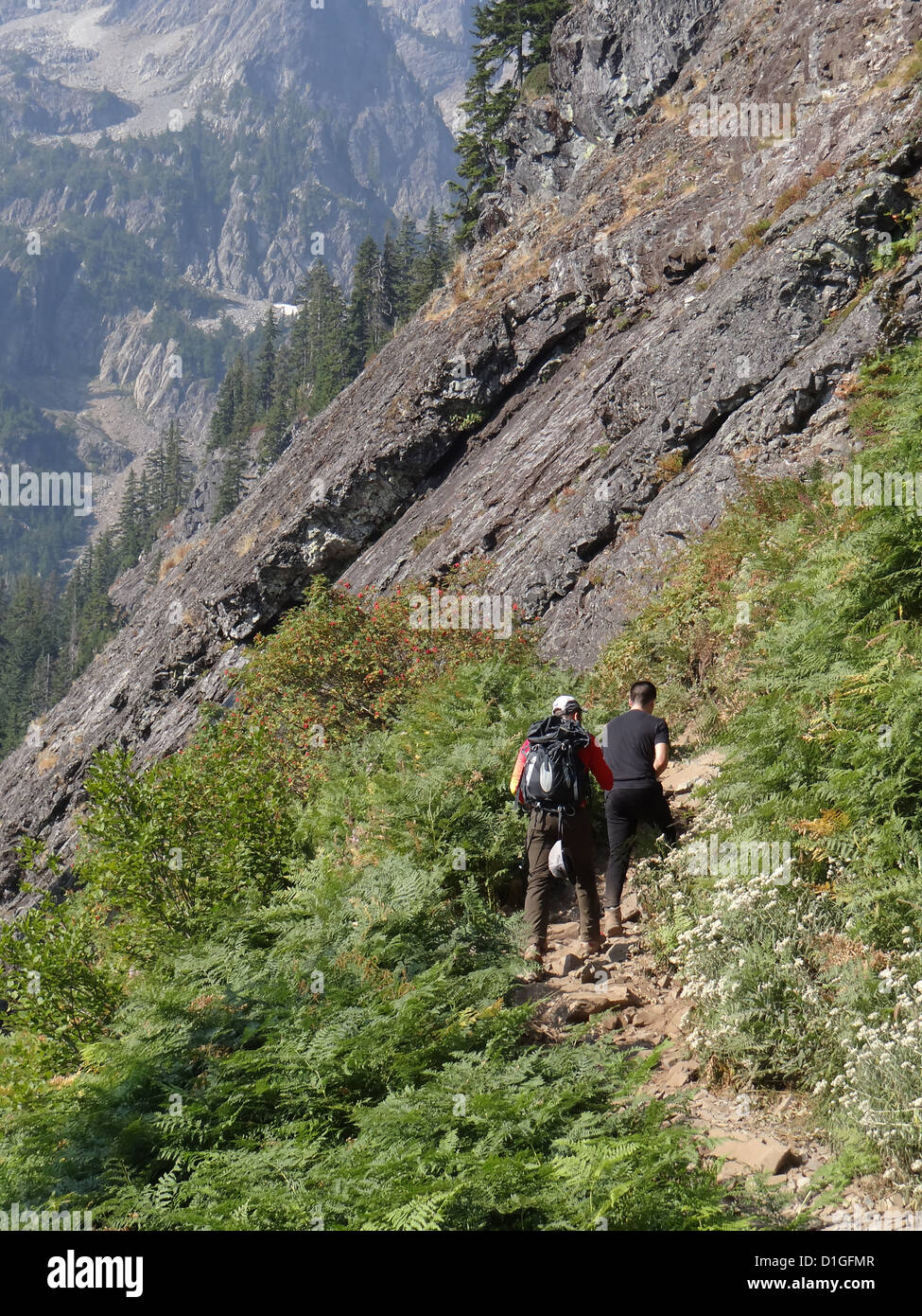 Steep Mountain Trail