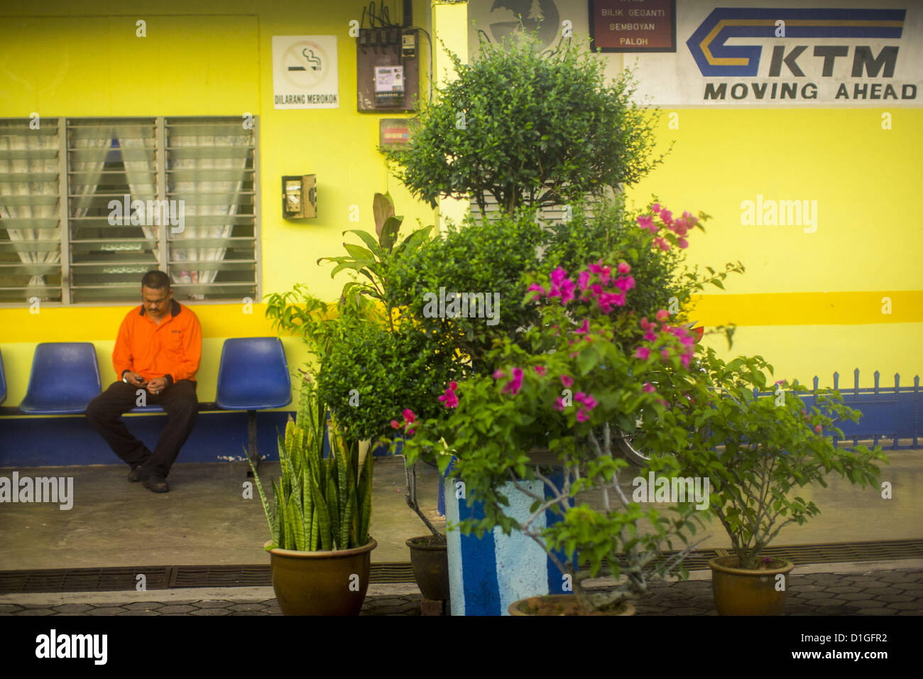 Paloh hi-res stock photography and images - Alamy