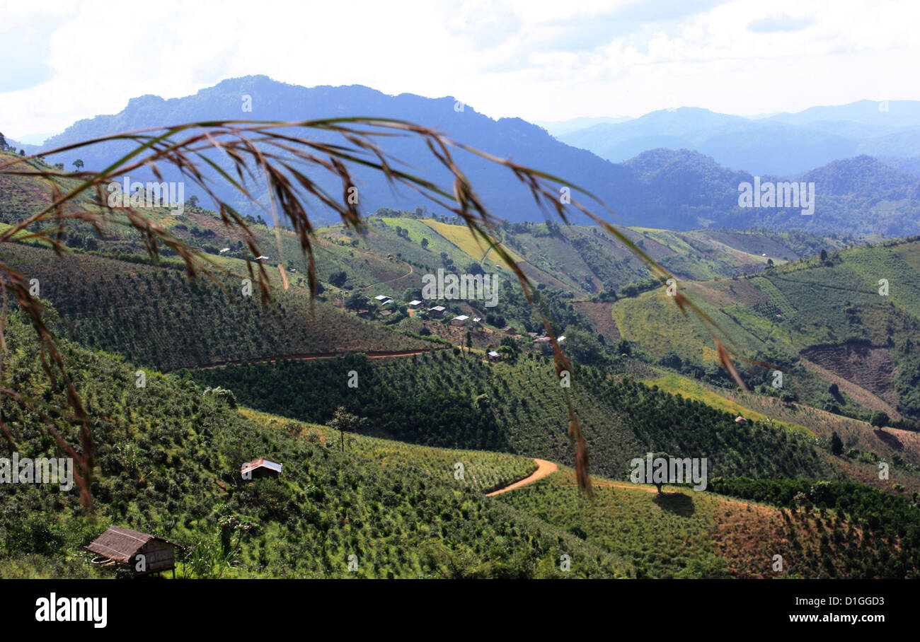 A picturesque view of farm huts and fields in the mountainous area ...