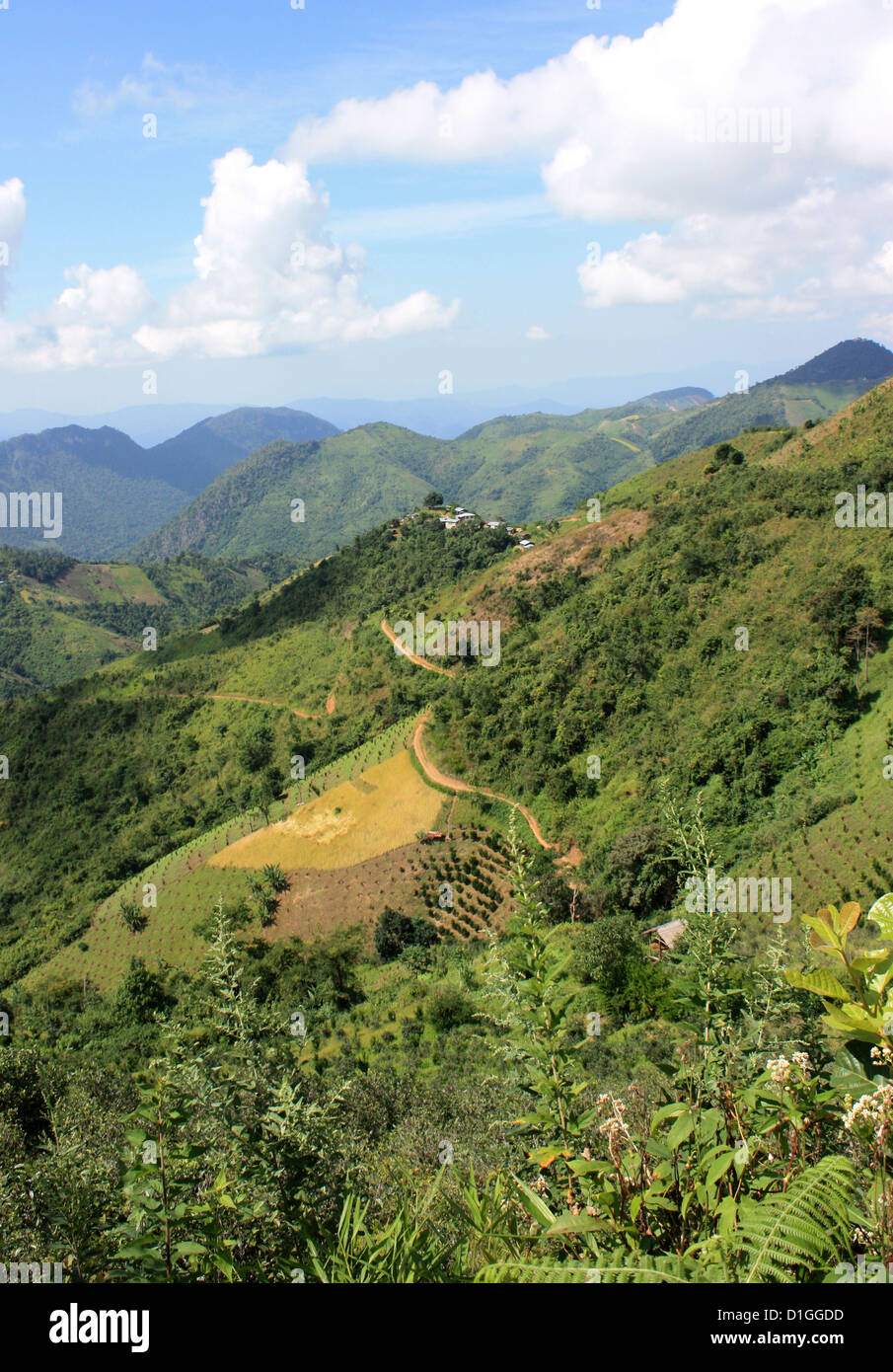 Palaung people hi-res stock photography and images - Alamy