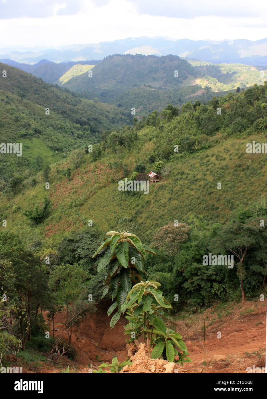 A picturesque view of the mountainous area inhabited by the Palaung ...