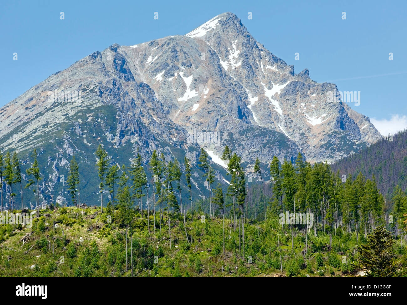 High Tatras spring view with snow on mountainside (Slovakia Stock Photo ...