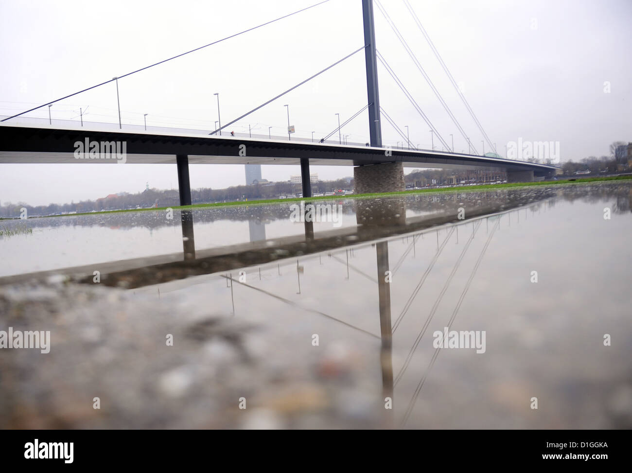 The Oberkasseler Bridge mirrors in the high watert of the Rhine river ...