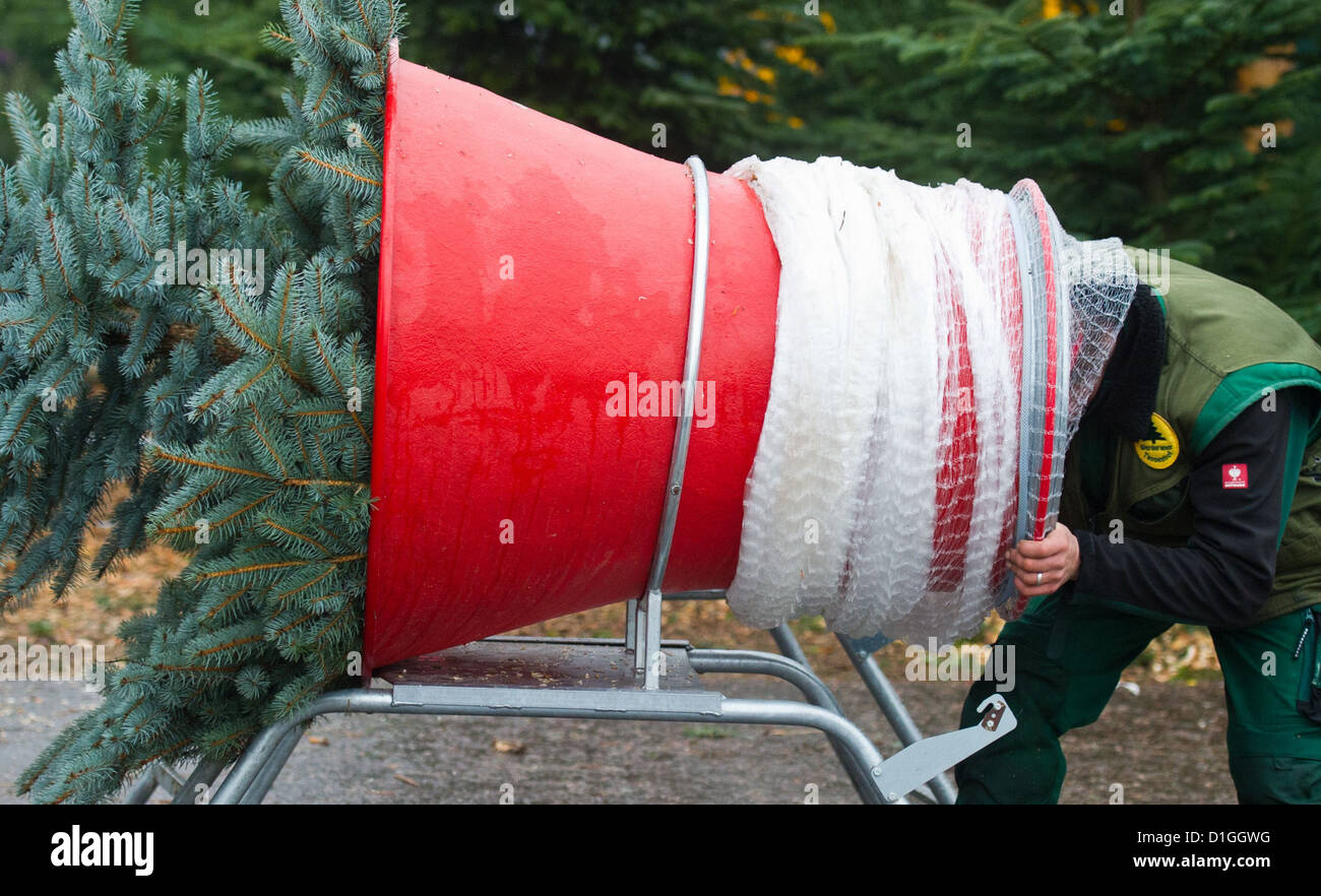 Employee of the Werder Tannenhof Richard Wolf bends over into a ...