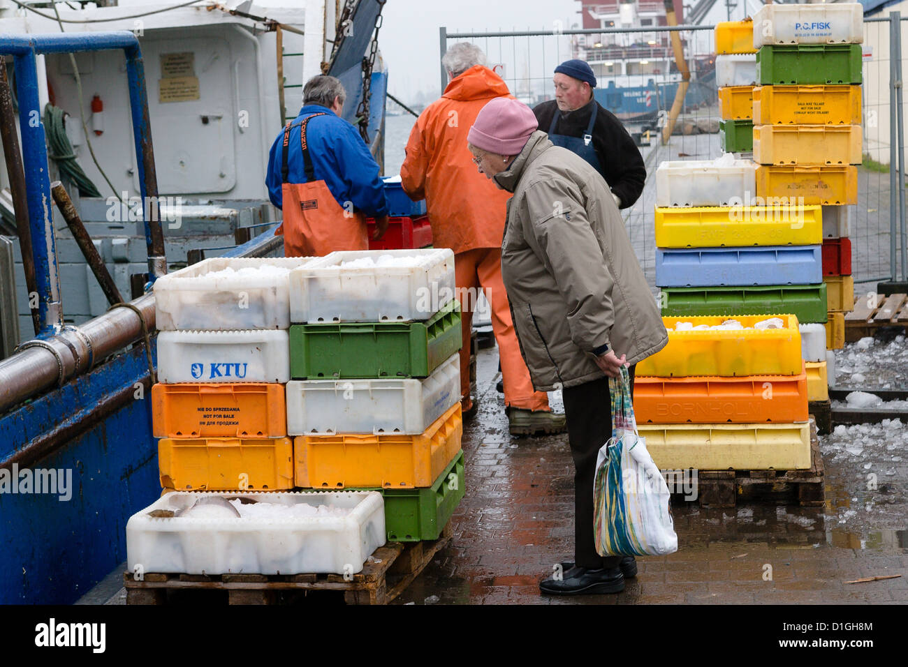 A man looks at freshly caught cod next to a fishing cutter in ...