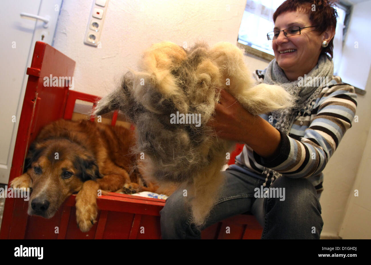 Gabi Angele holds a bundle of dog fur next to her dog Spike in ...