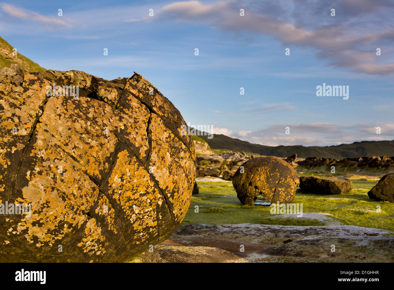 Giant egg hi-res stock photography and images - Alamy