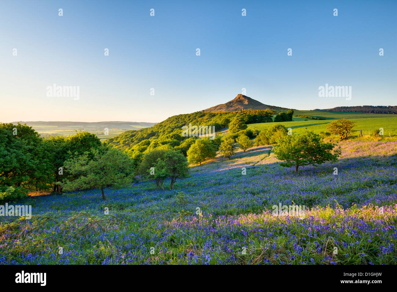 Roseberry topping hi-res stock photography and images - Alamy