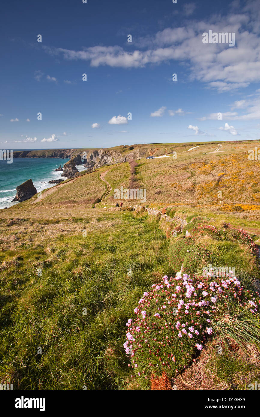 Bedruthen steps hi-res stock photography and images - Alamy