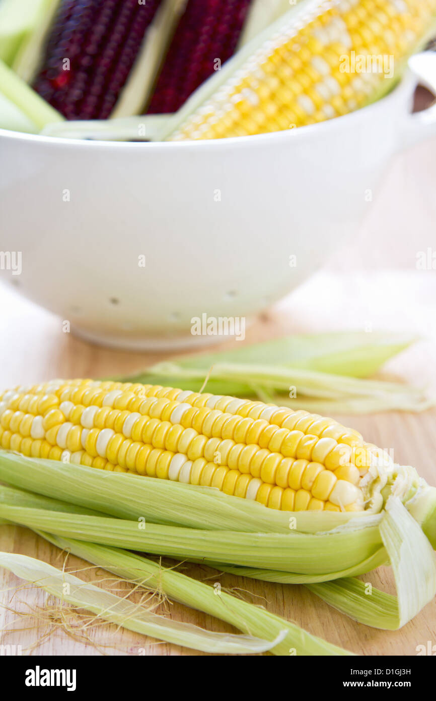 Fresh yellow and purple corn Stock Photo - Alamy