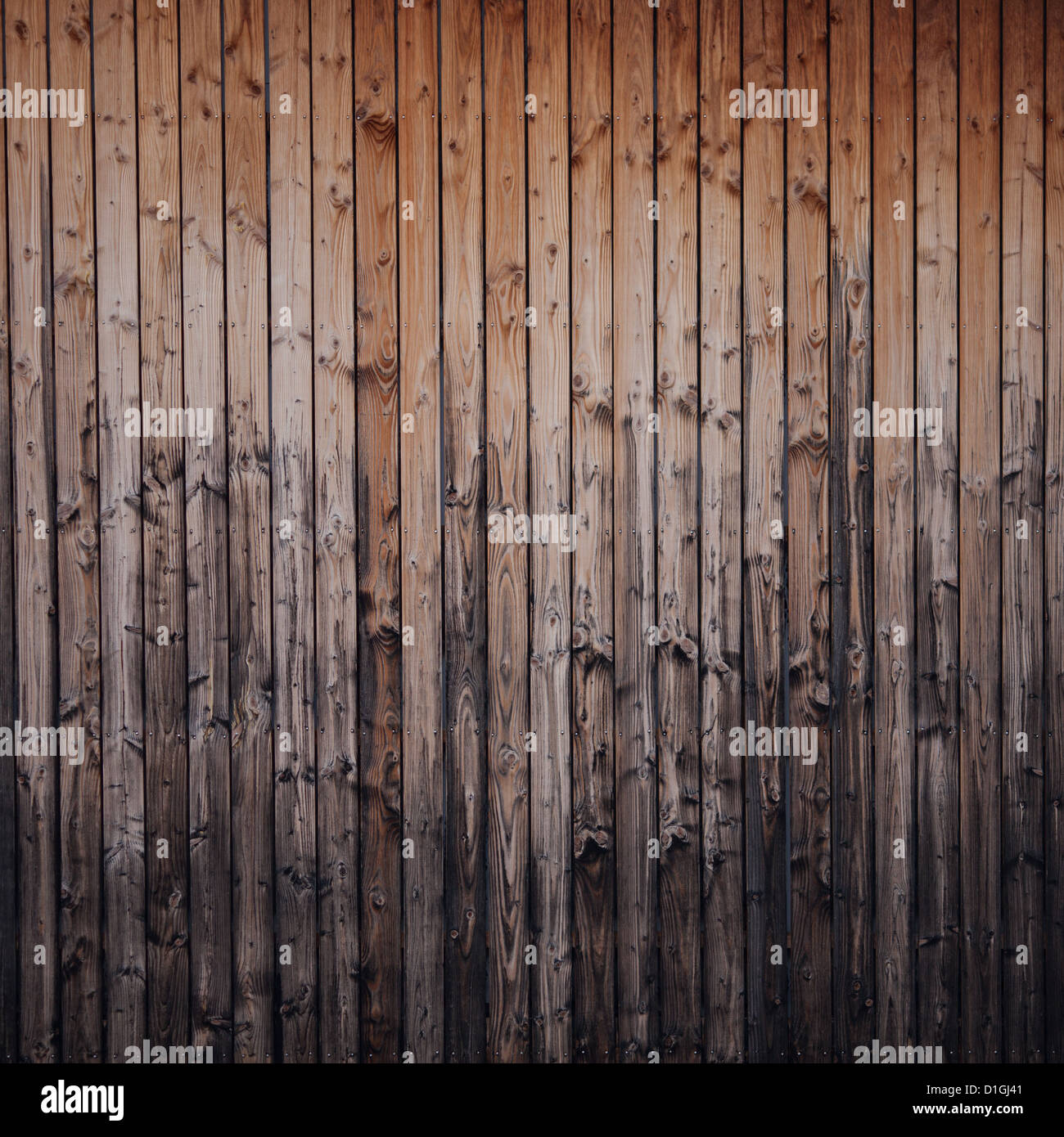 Tan gradient hi-res stock photography and images - Alamy