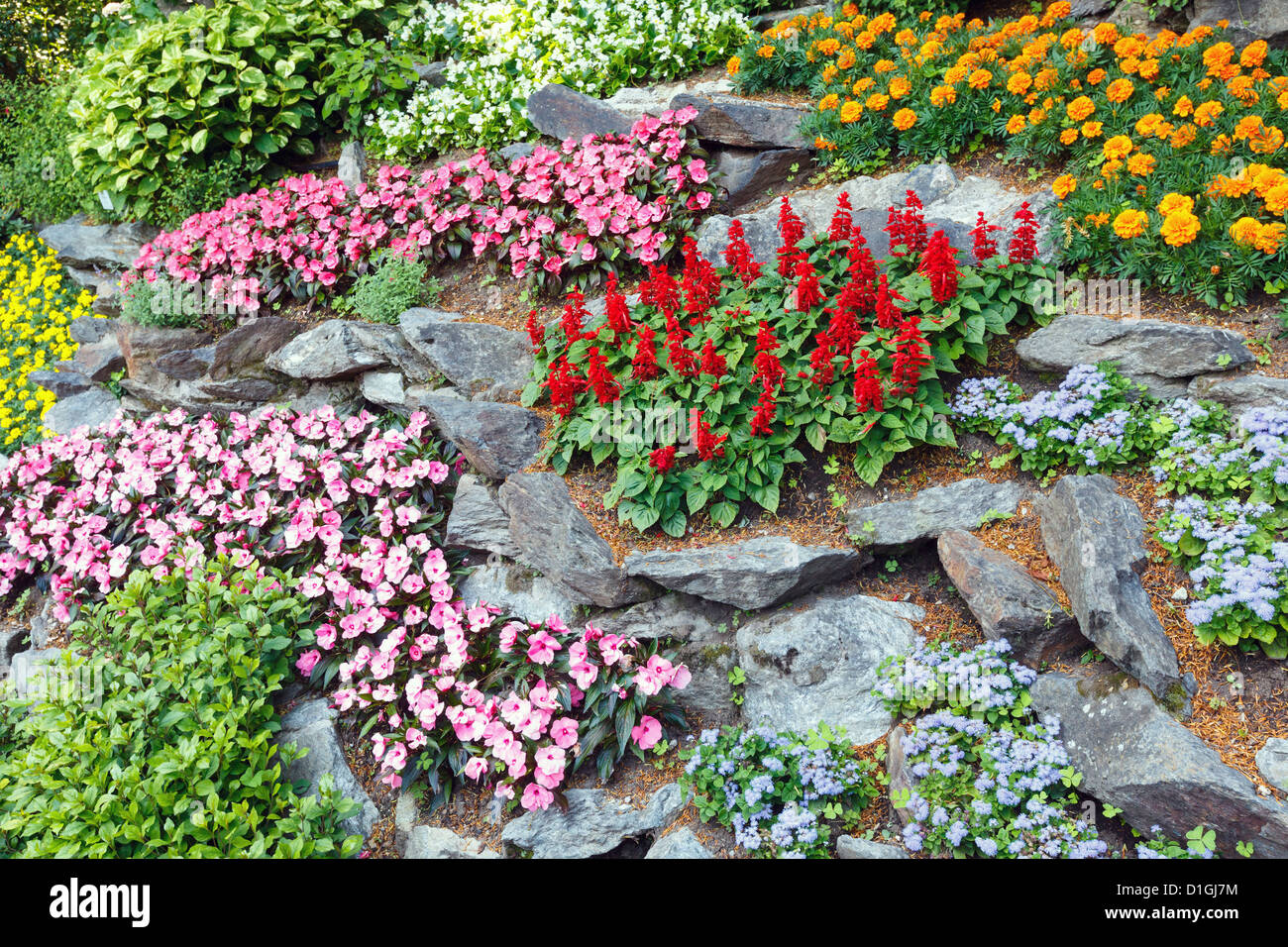 Colorful flowerbeds hi-res stock photography and images - Alamy