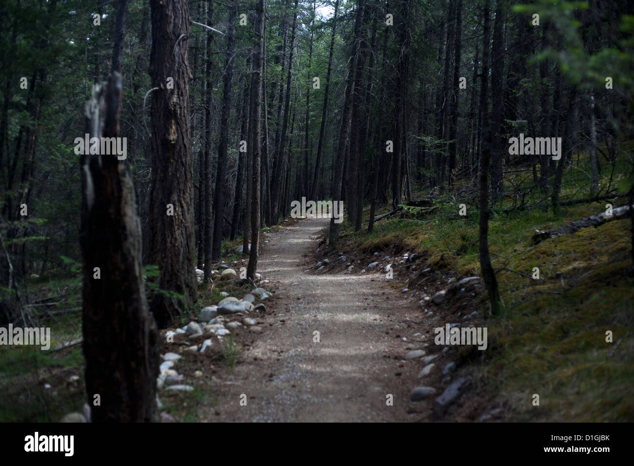 Beauty rocky mountains hi-res stock photography and images - Alamy