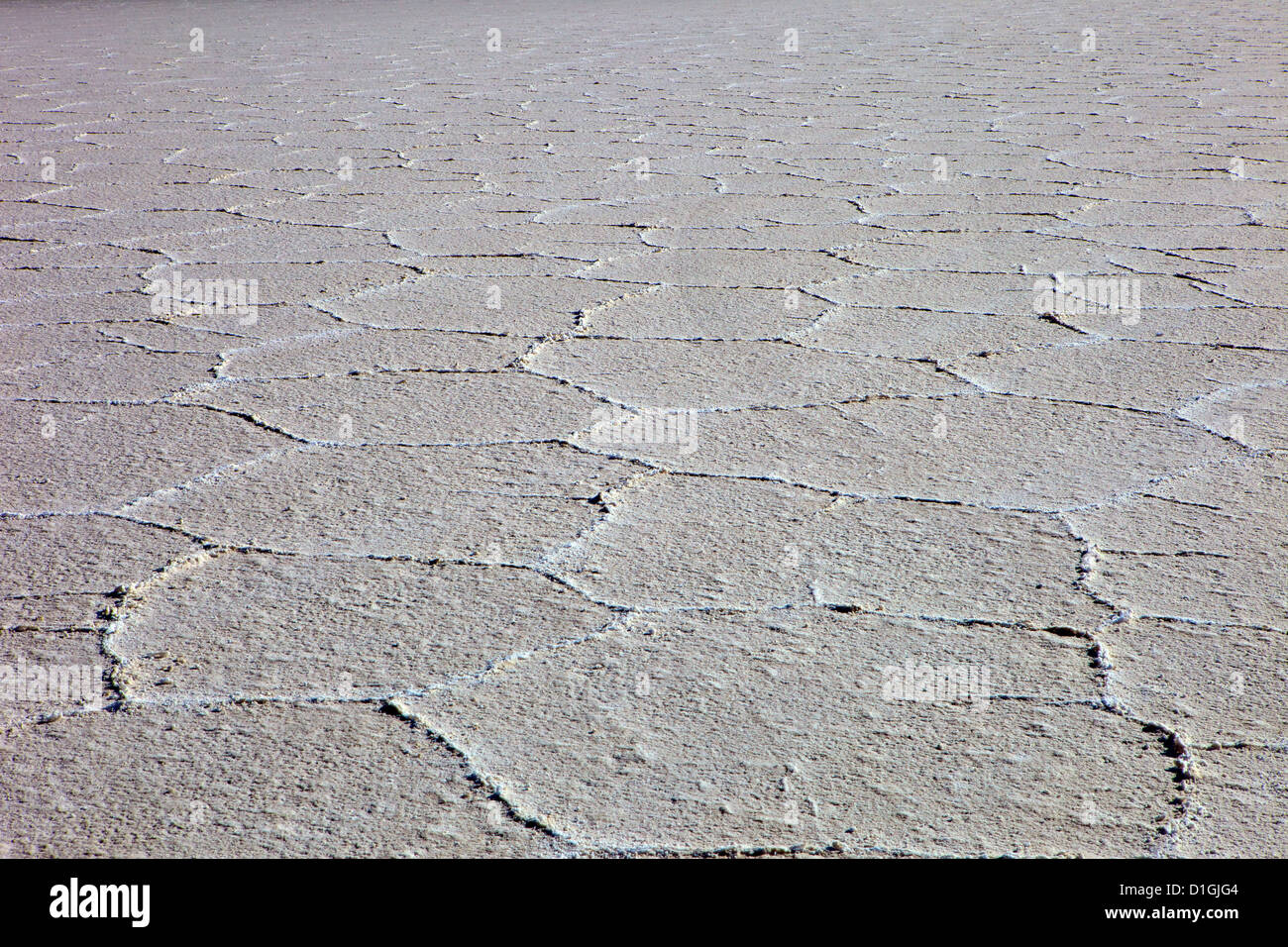 Details of the salt deposits in the Salar de Uyuni salt flat ...