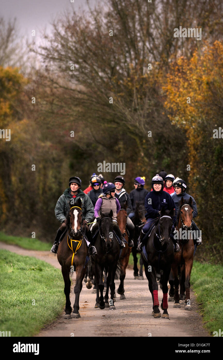 A string of horses at Paul Nicholls stables in Ditcheat, Somerset ...