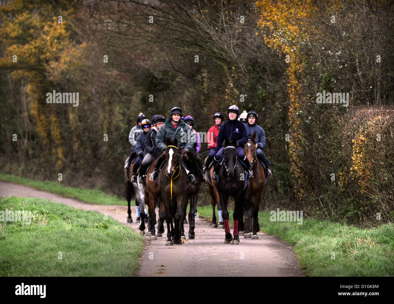 Horse racing paul nicholls hi-res stock photography and images - Alamy