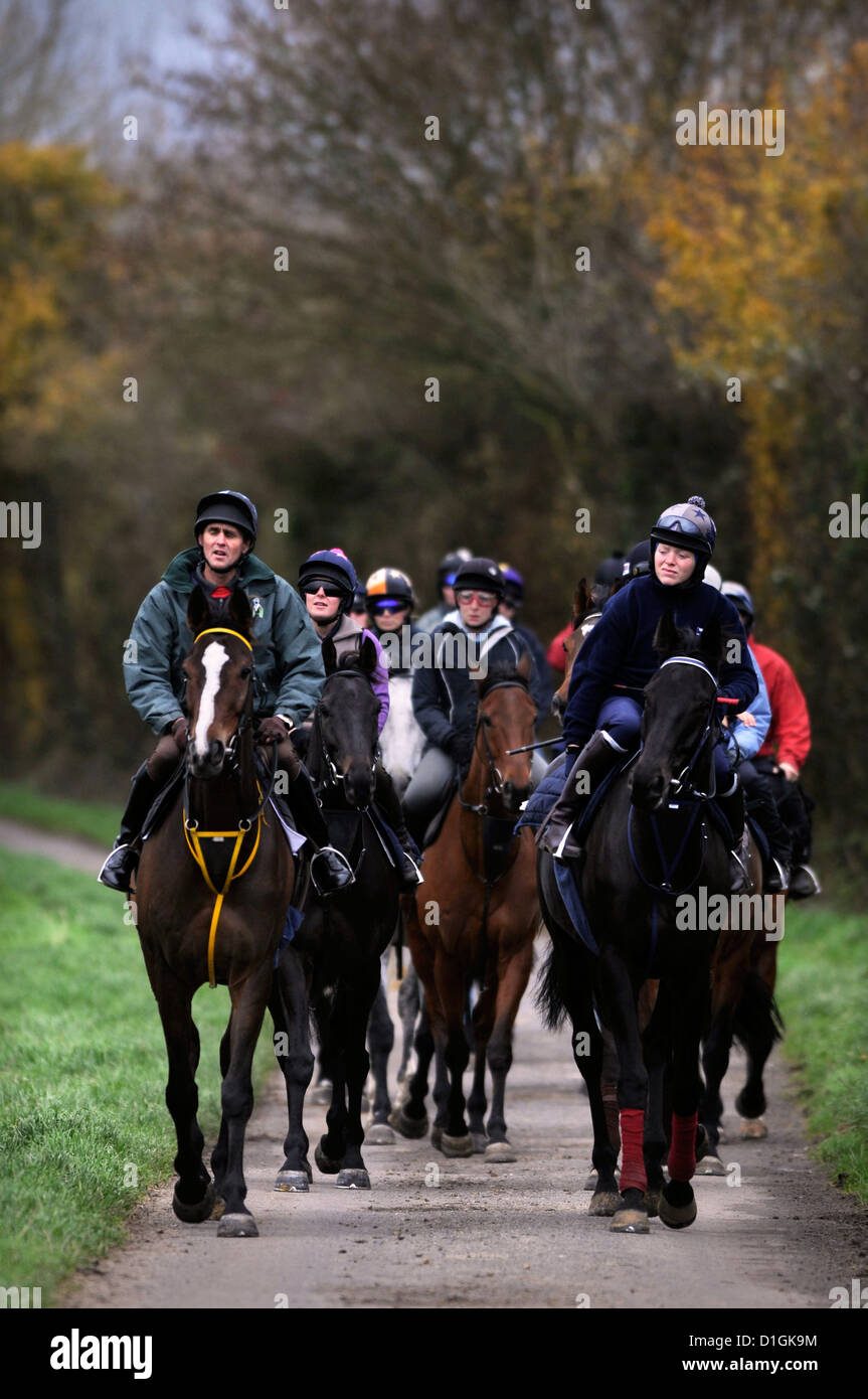 Kauto star paul nicholls hi-res stock photography and images - Alamy