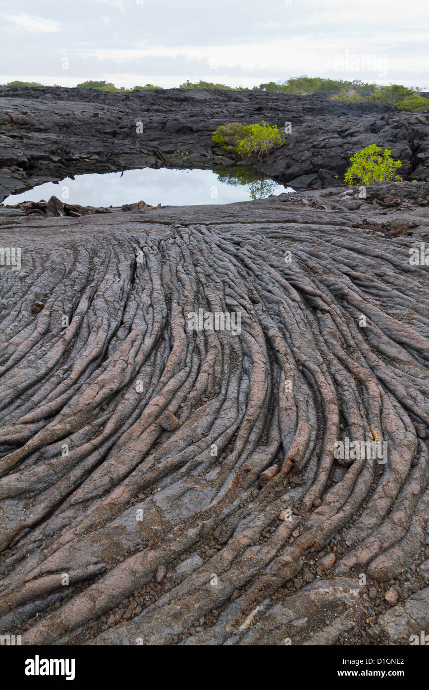 Lava flow, Fernandina Island, Galapagos Islands, UNESCO World Heritage ...