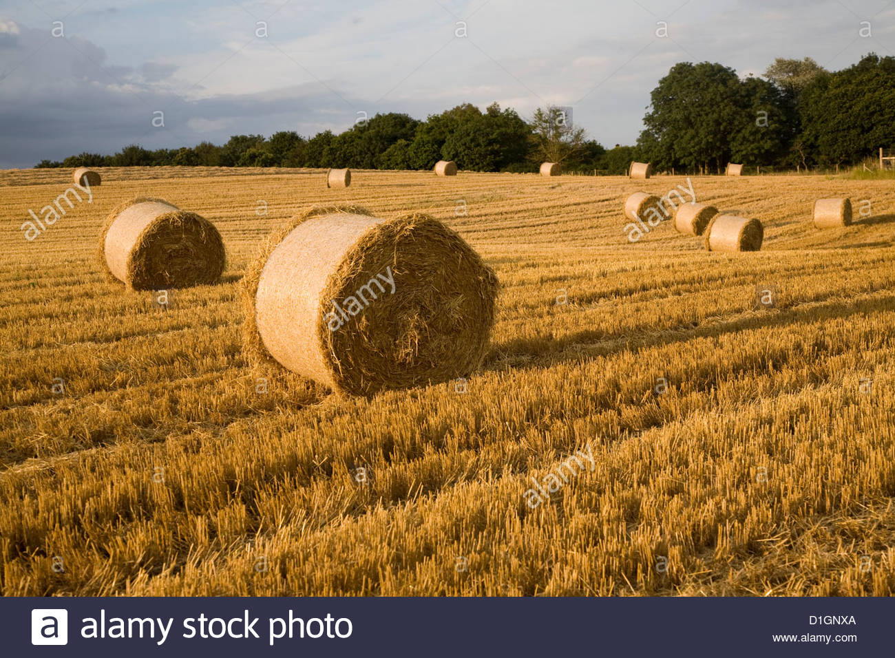 Suffolk Rural Stock Photos & Suffolk Rural Stock Images - Alamy