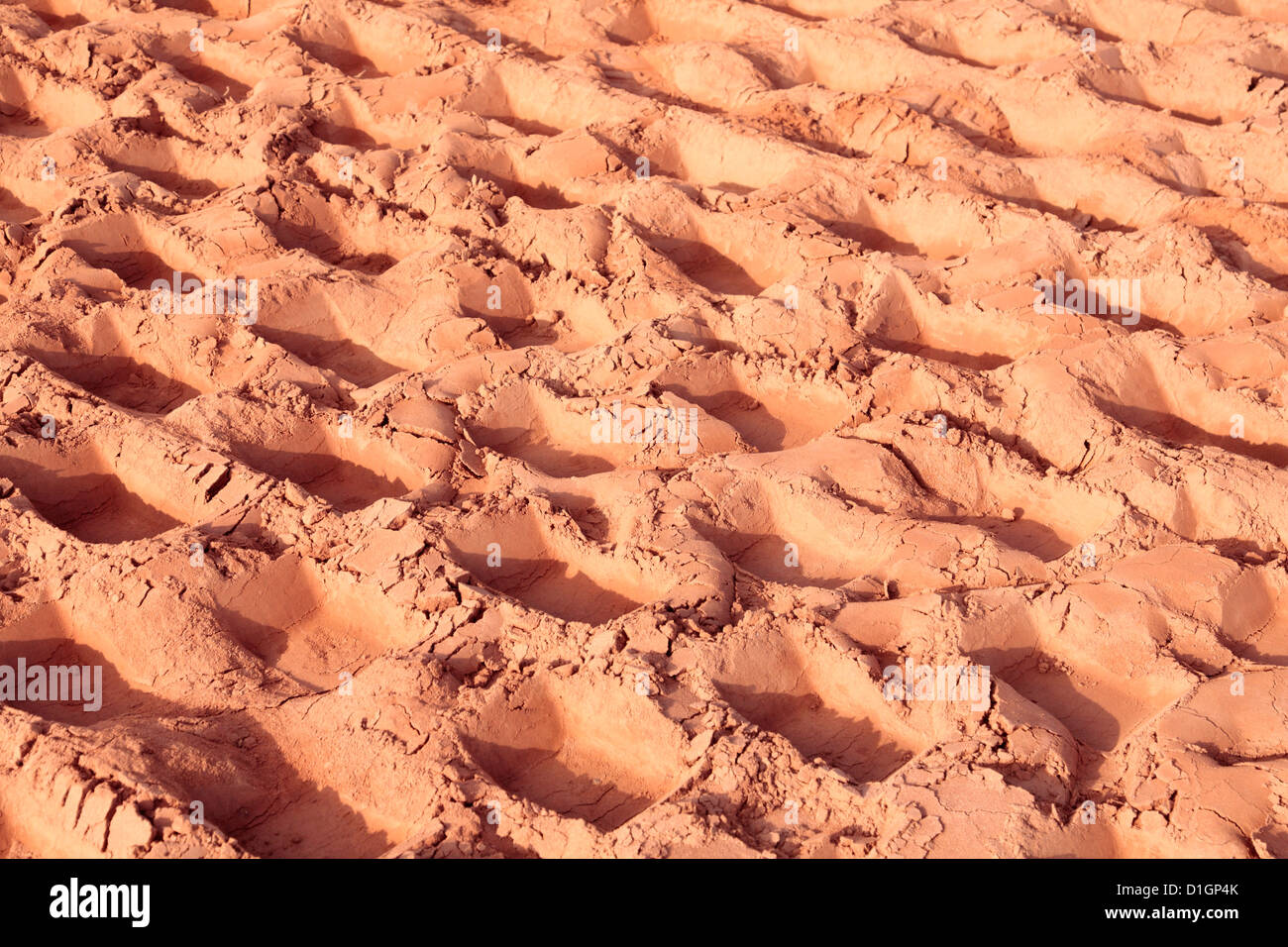 Track marks of Sheeps foot roller compacting rolling fill material ...