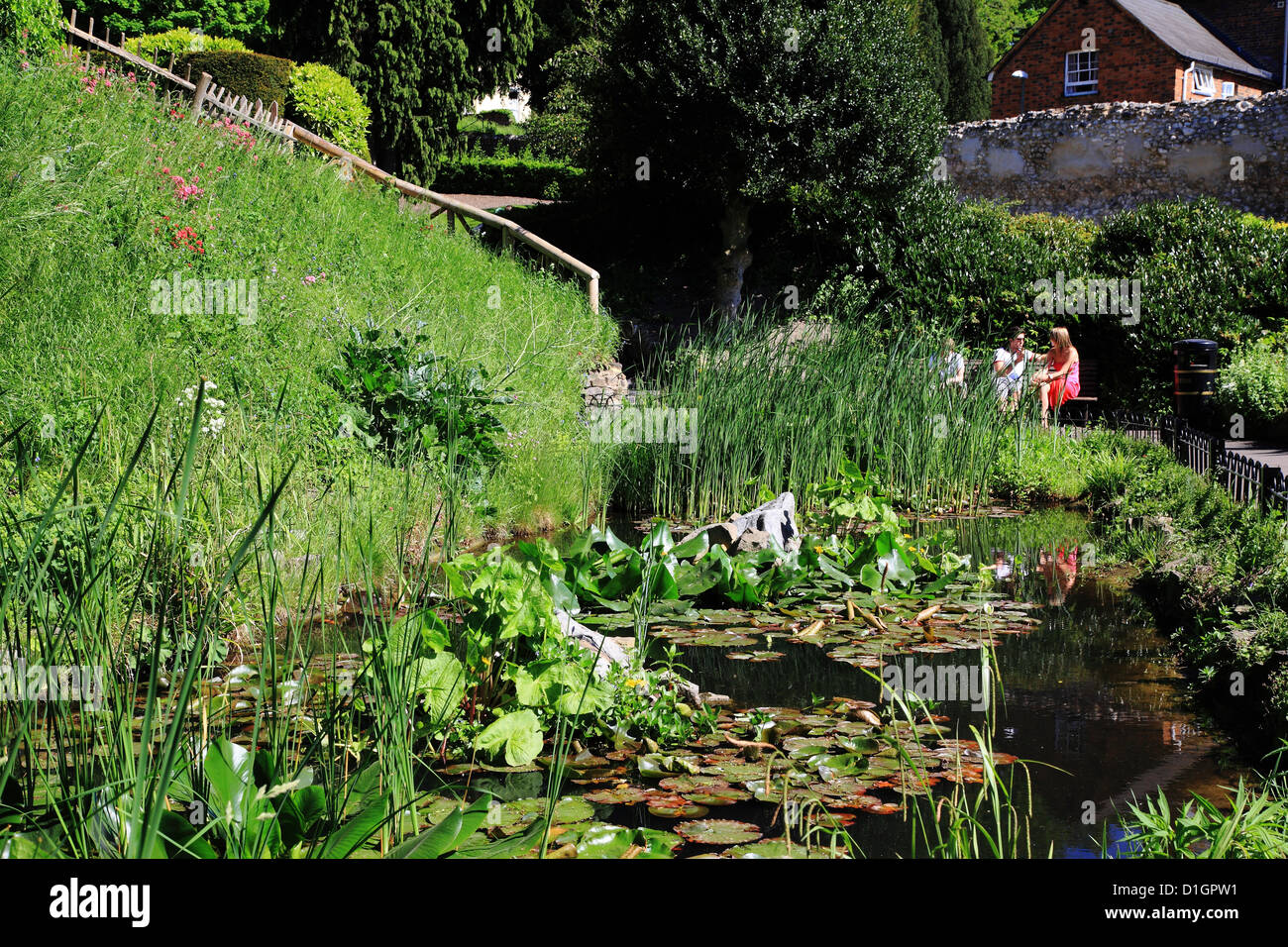Guildford castle gardens in summer surrey hi-res stock photography and ...