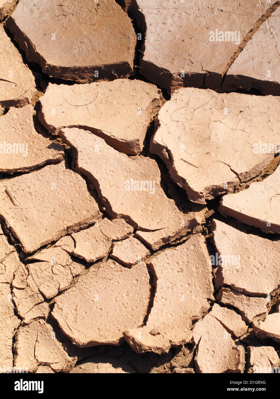 Dried water hole hi-res stock photography and images - Alamy