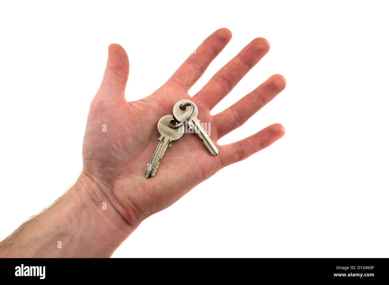 two keys on the palm isolated on white background Stock Photo - Alamy