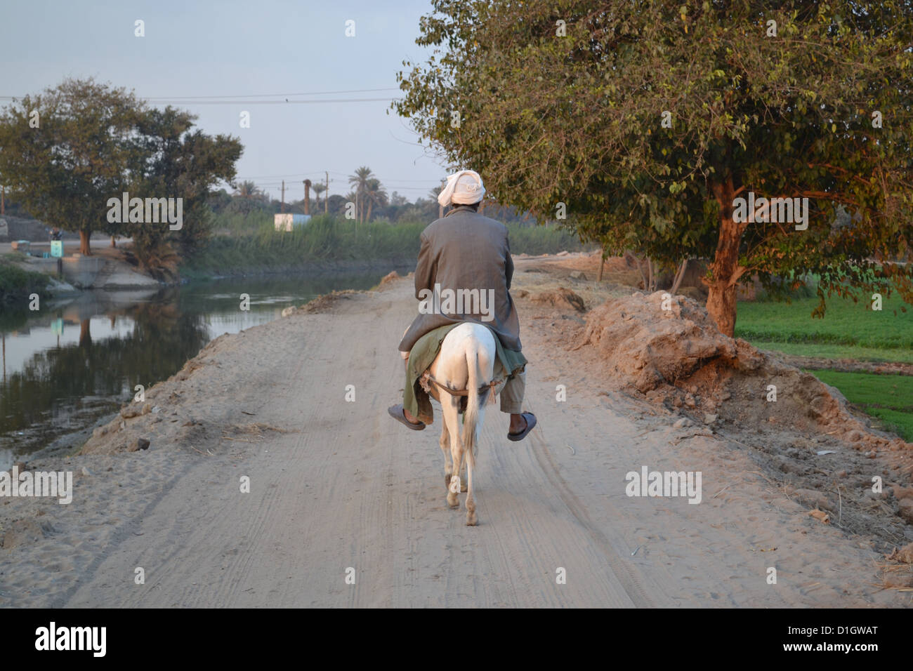 A typical Egyptian fellah (peasant) riding his donkey along a canal in ...