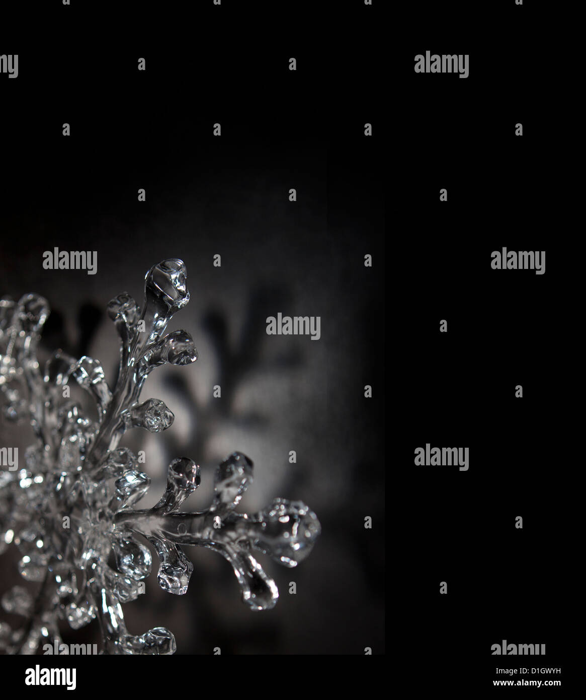 Template christmas greetings in hi-res stock photography and images - Alamy