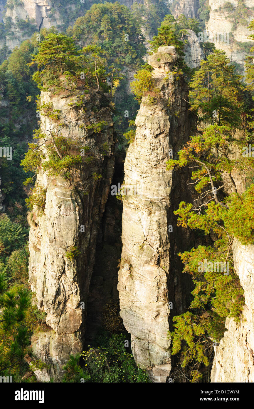 Steep mountain in Zhangjiajie National Forest Park located in Hunan ...