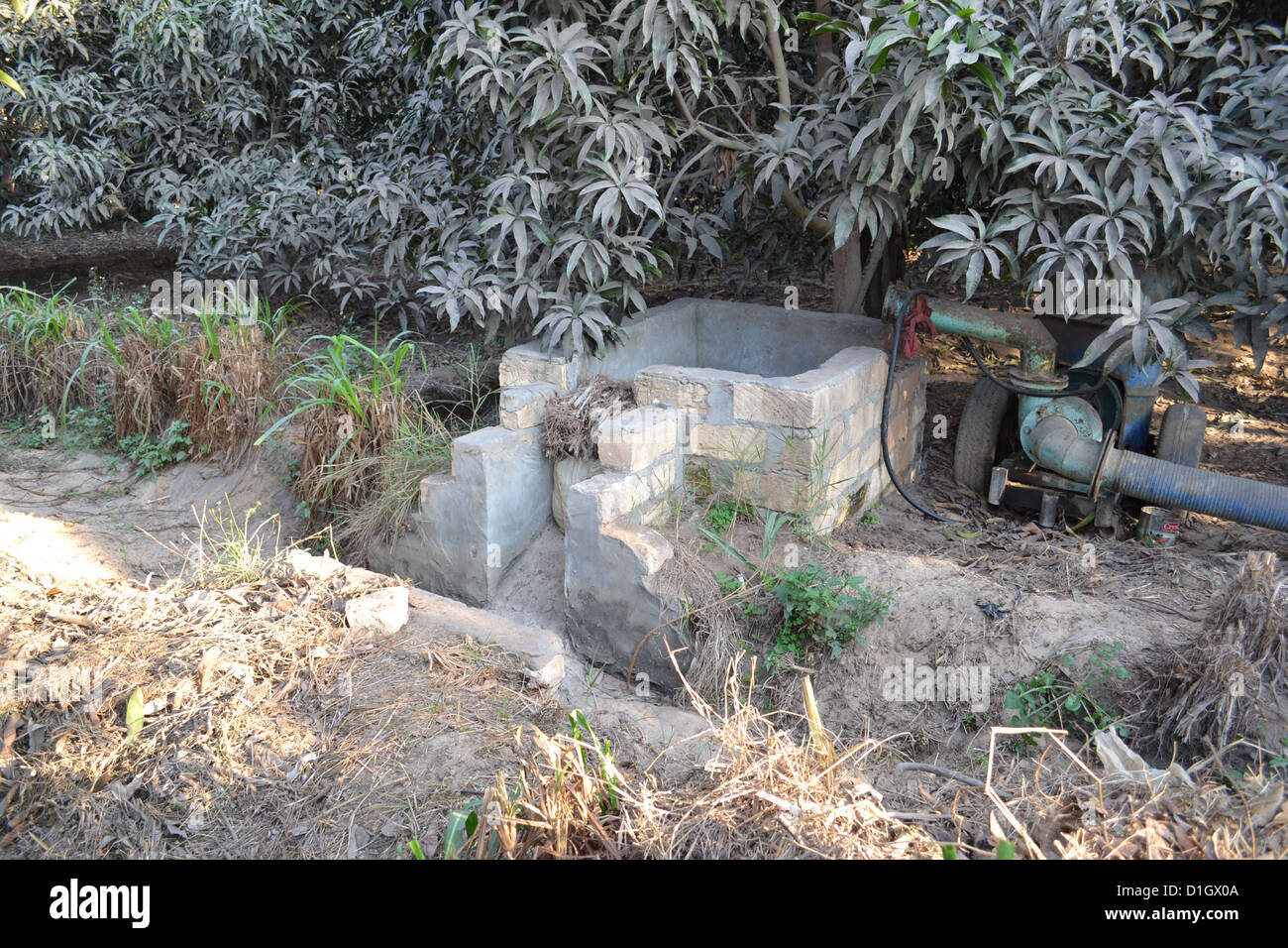 An irrigation pump and water channels in a mango orchard Stock Photo ...