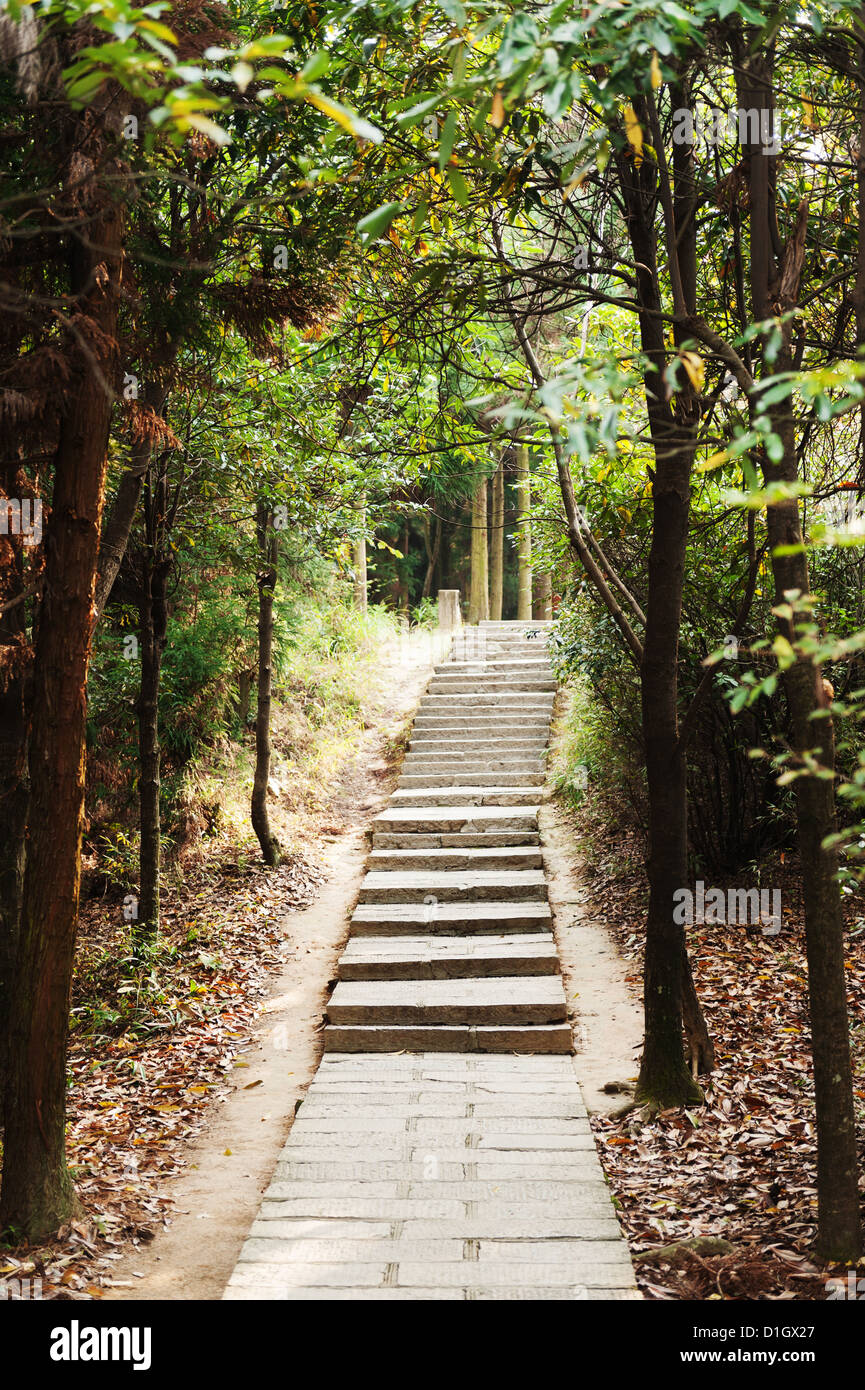 Stone steps in the forest Stock Photo - Alamy