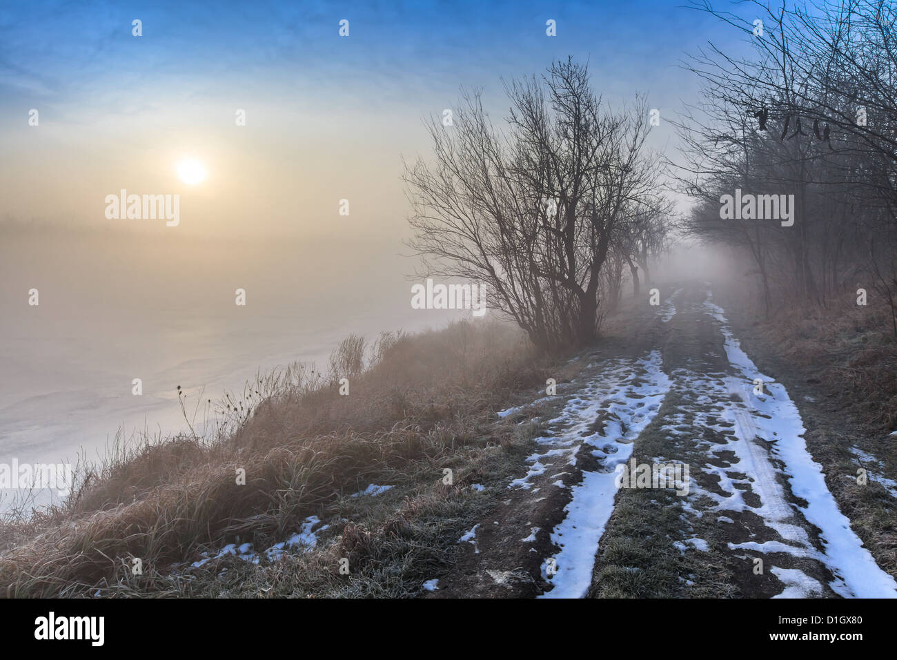 Scenic foggy travel walk through hi-res stock photography and images ...