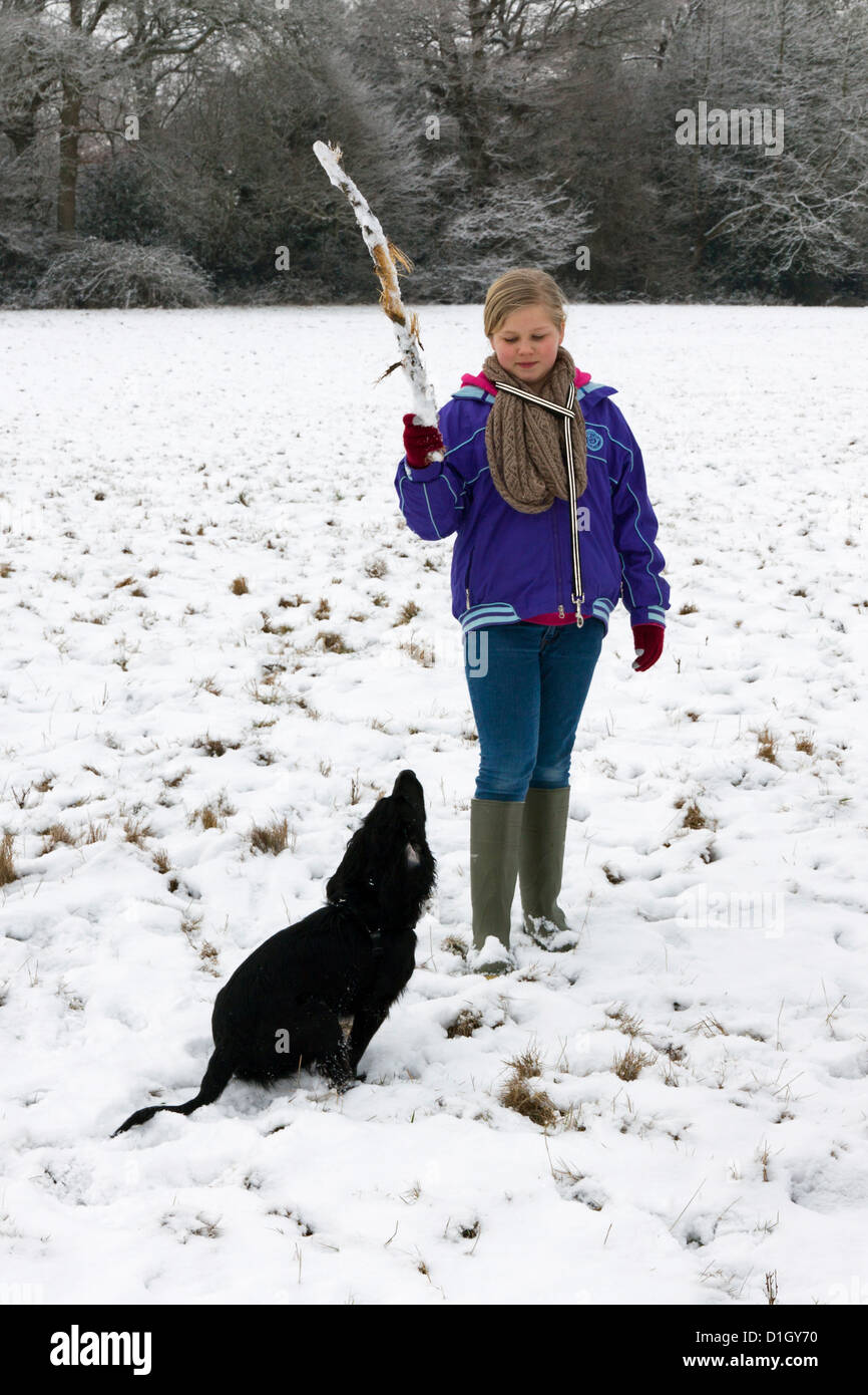 Young girl training English Working Cocker Spaniel in snow with stick ...