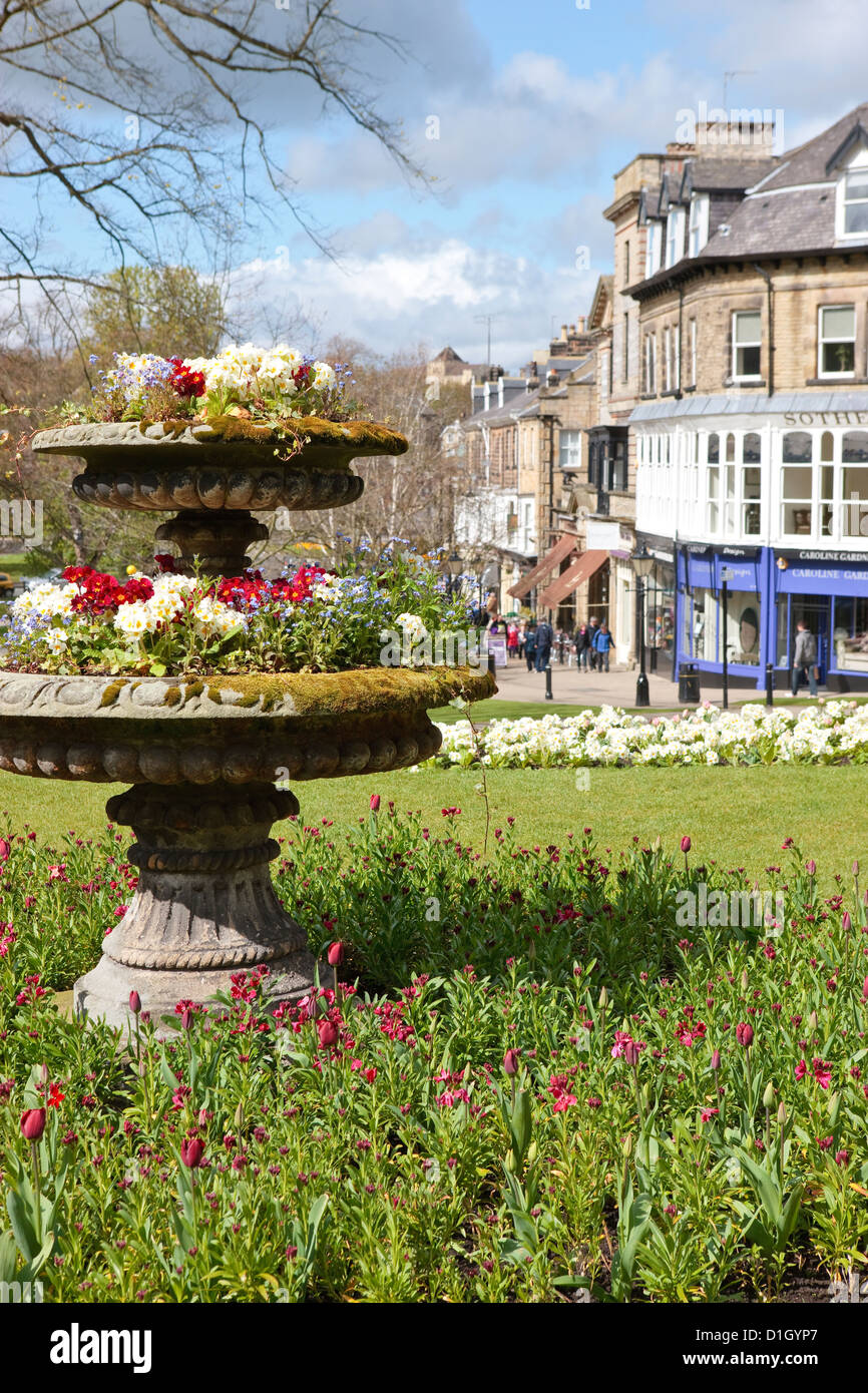 Harrogate North Yorkshire England Stock Photo - Alamy
