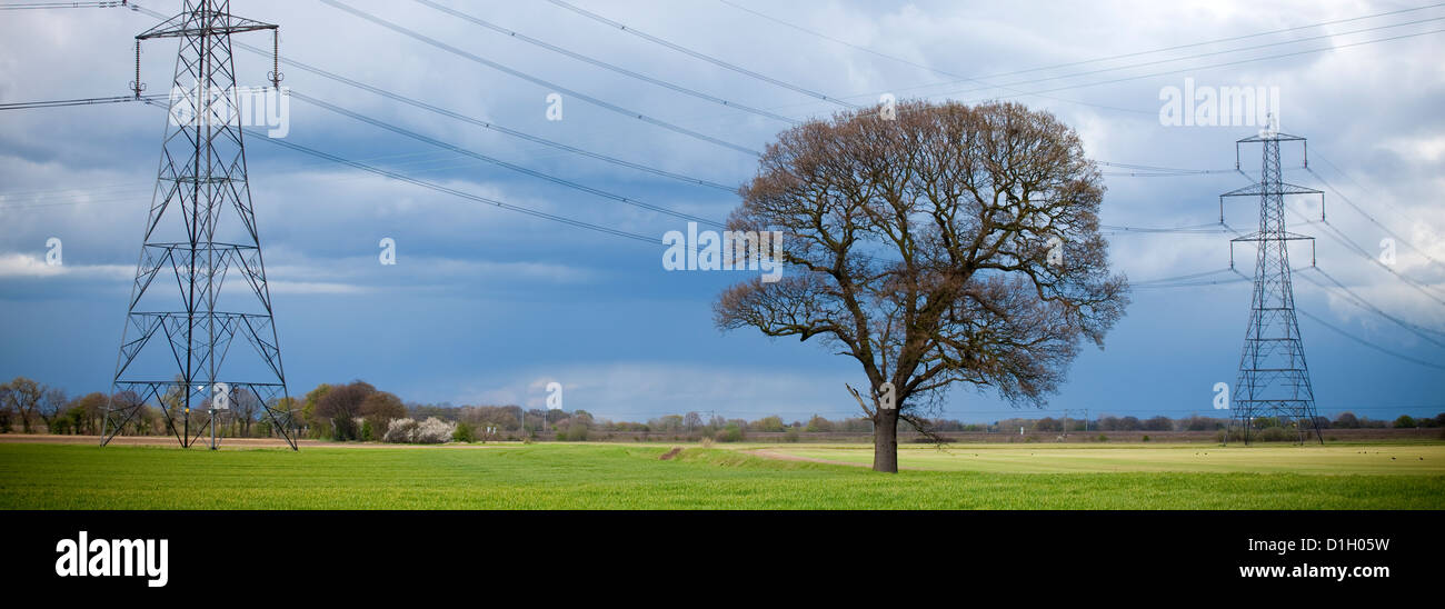 An electricity pylon of the National Grid - power line and lone tree ...