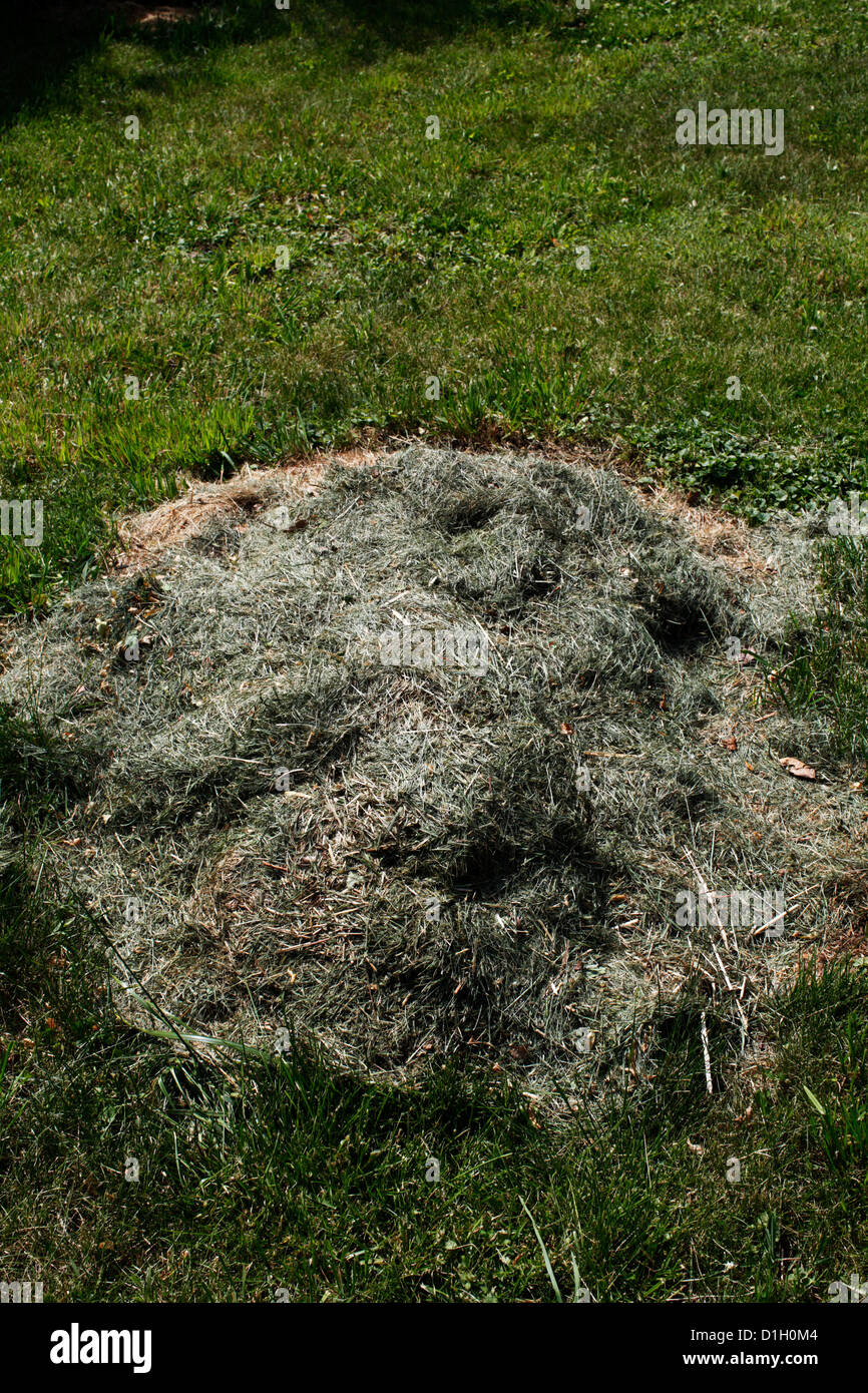 Lump of grass hi-res stock photography and images - Alamy