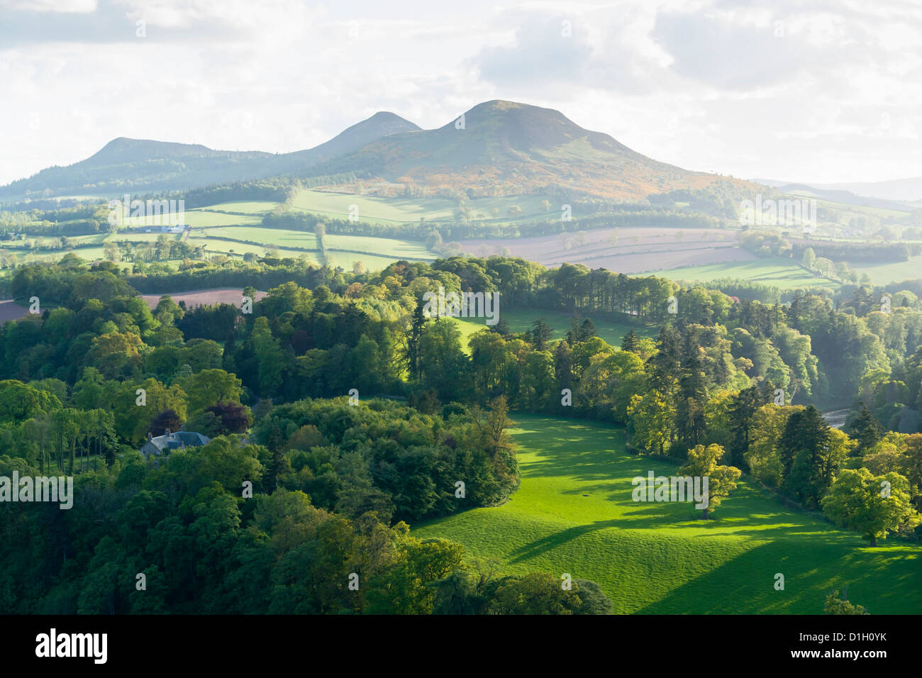 Scotts View of the Eildon Hills in the Scottish Borders in Spring ...