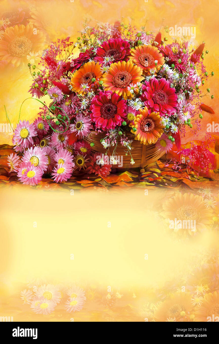 Various light colored flowers hi-res stock photography and images - Alamy