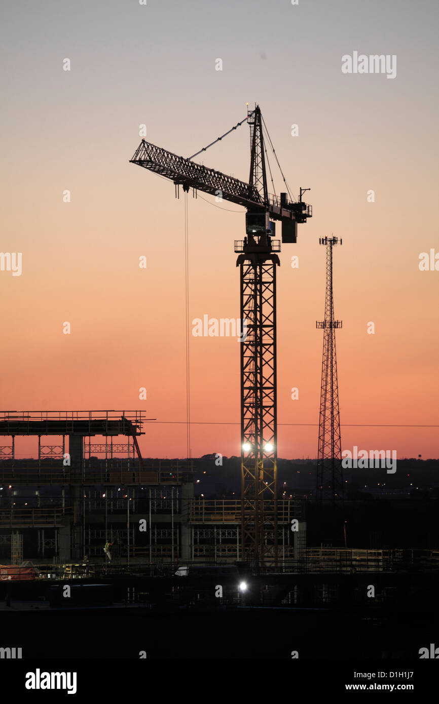 Crane at sunset Stock Photo - Alamy