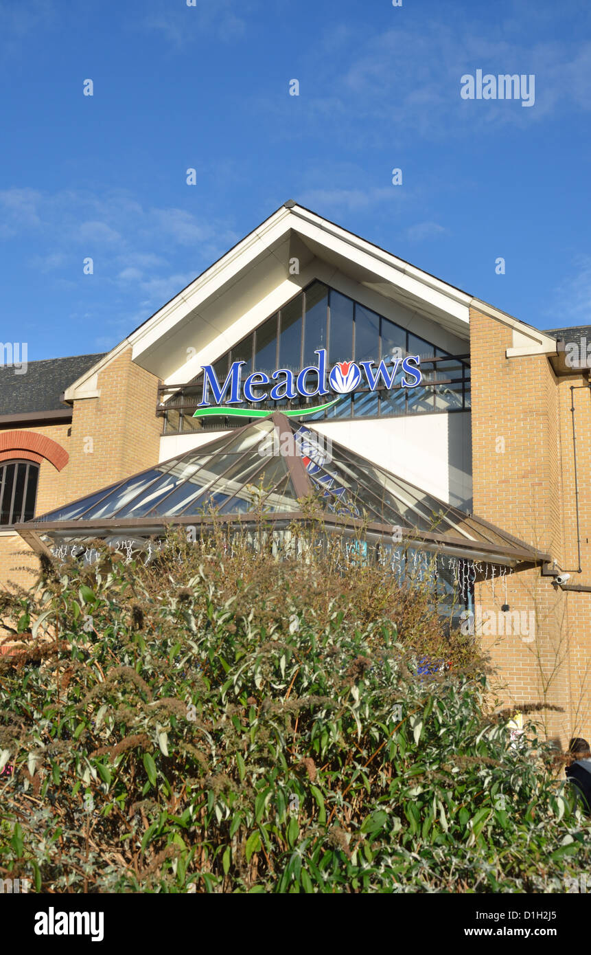 meadows shopping centre chelmsford essex Stock Photo - Alamy