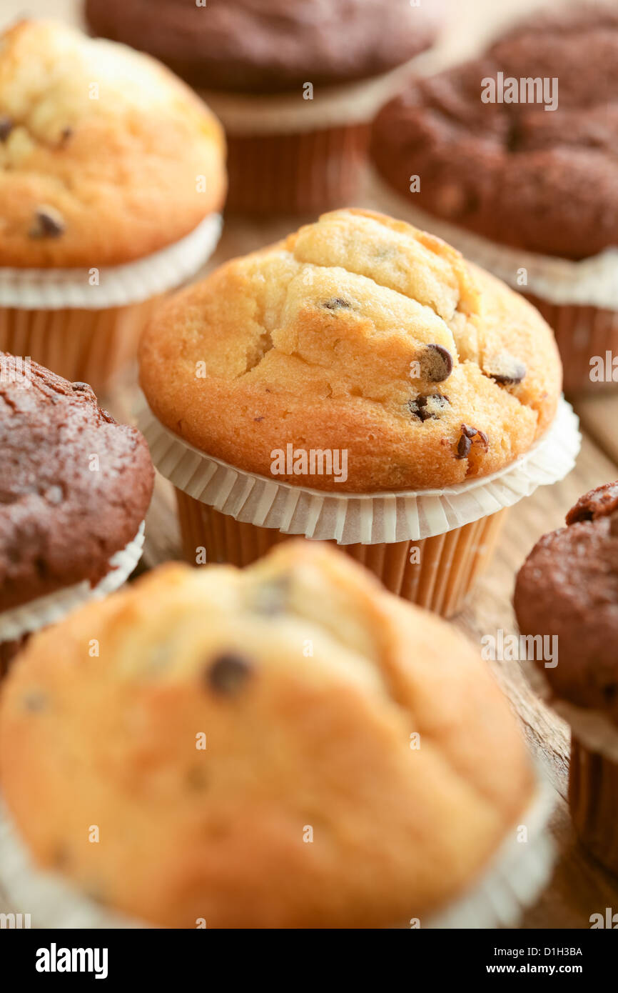 American chocolate chip muffins hi-res stock photography and images - Alamy