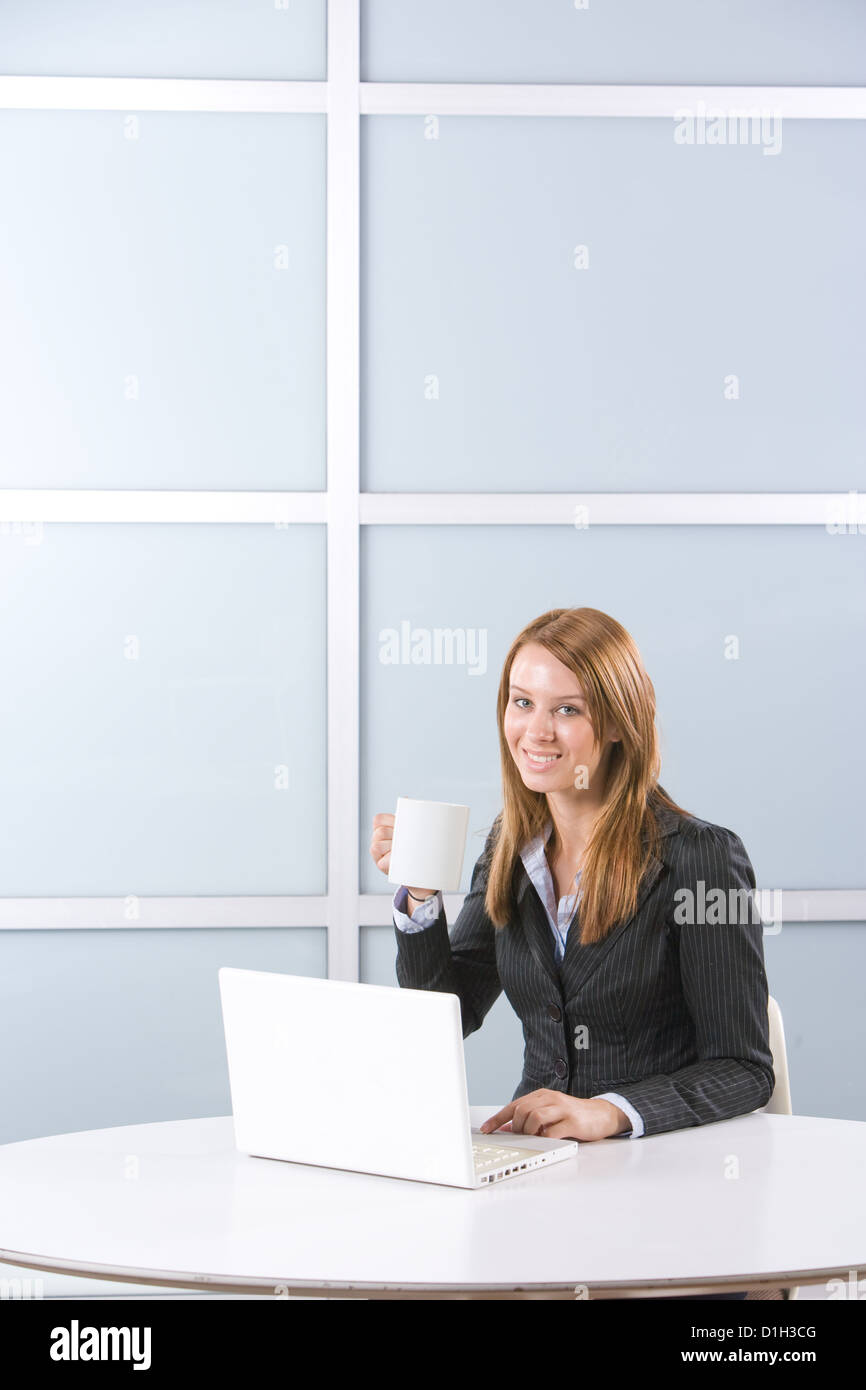 Business woman laptop in modern office Stock Photo - Alamy