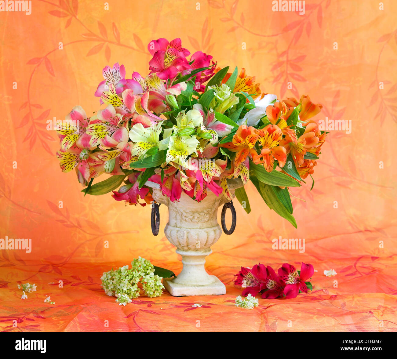 Bouquet of freesia flowers Stock Photo - Alamy
