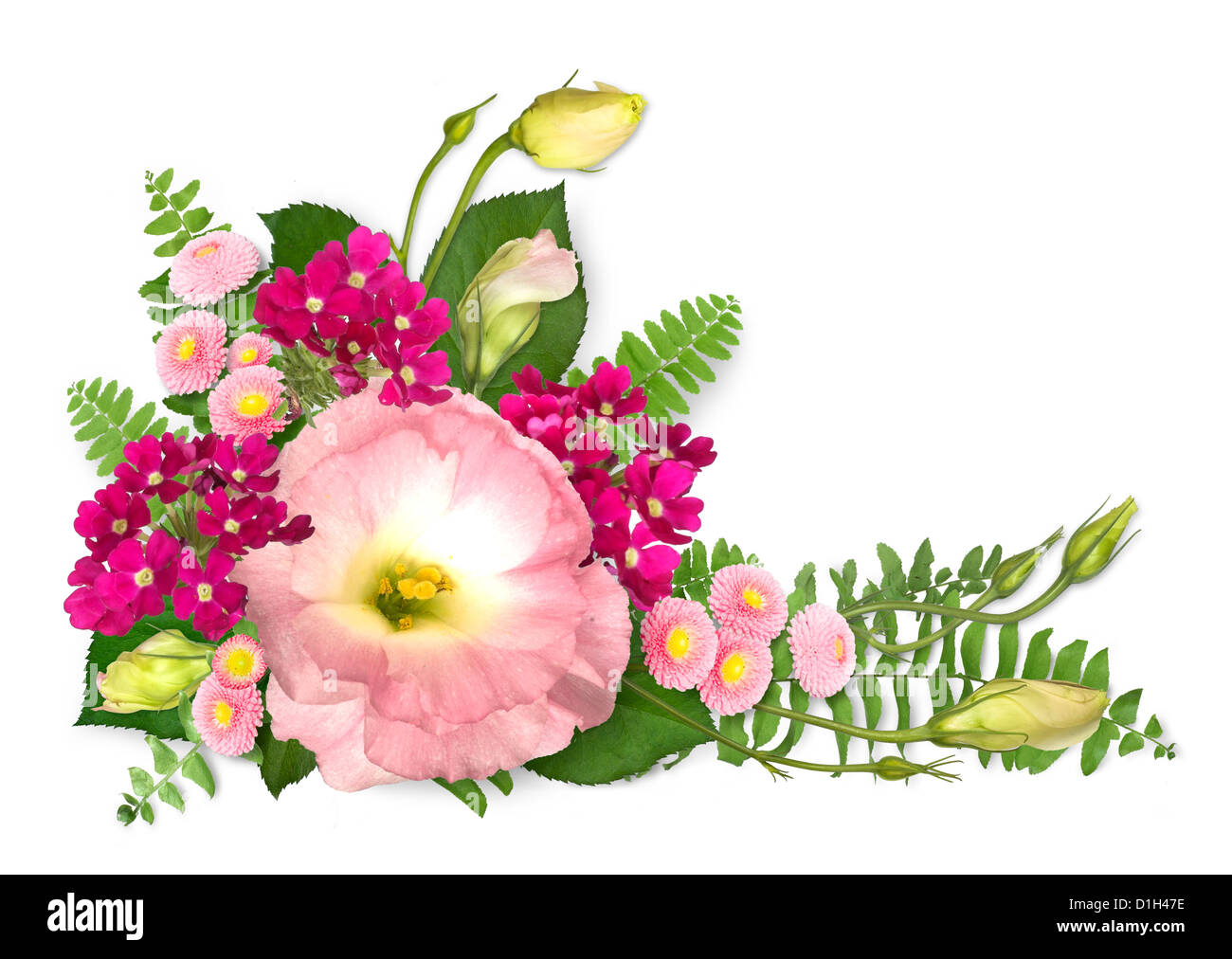 Frame made of flowers cutout on white background Stock Photo - Alamy