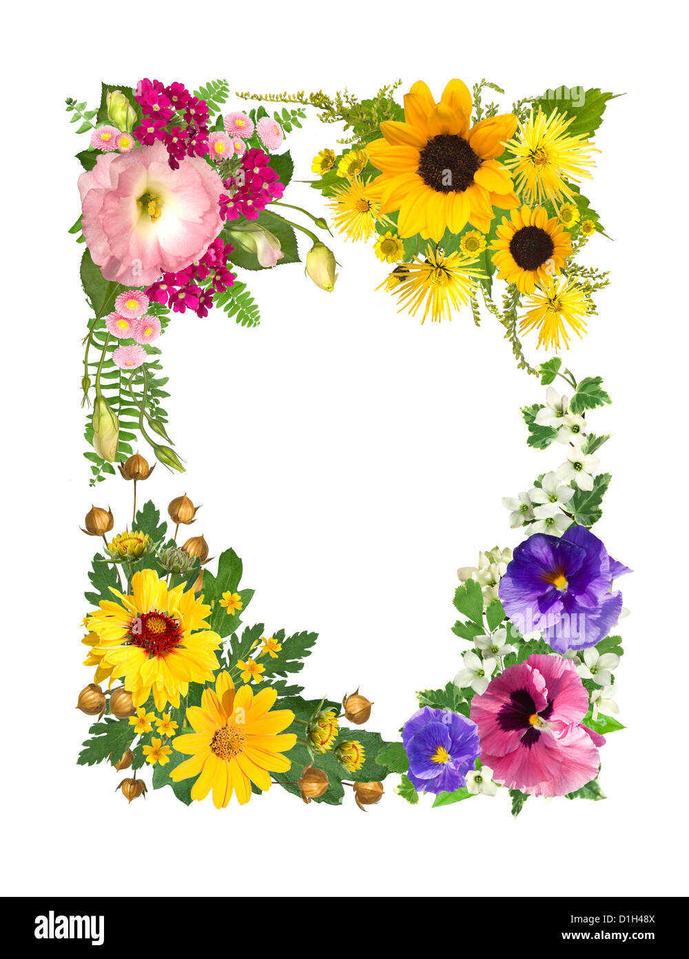 Frame made of flowers cutout on white background Stock Photo - Alamy