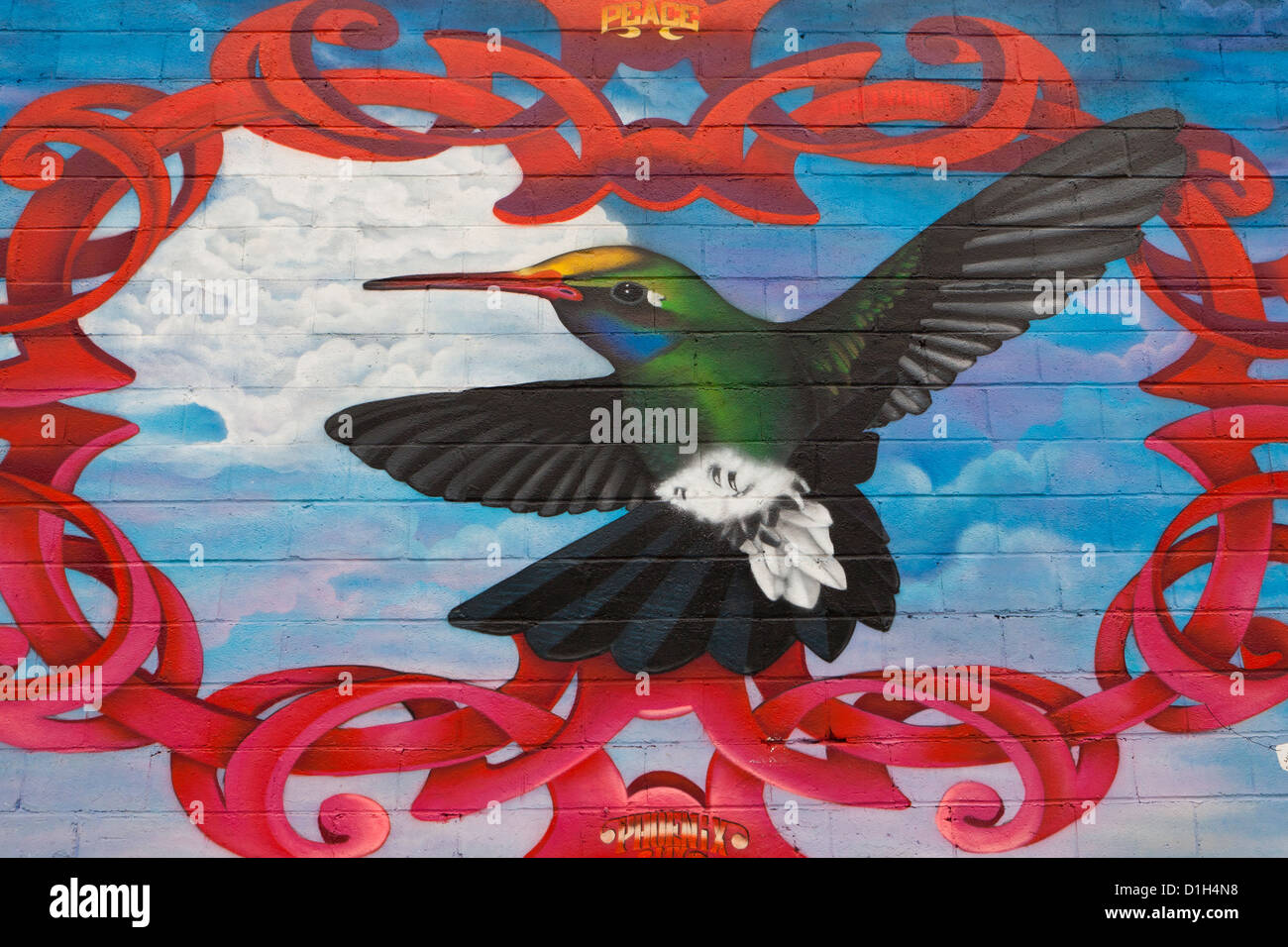 Humming Bird High Resolution Stock Photography and Images - Alamy