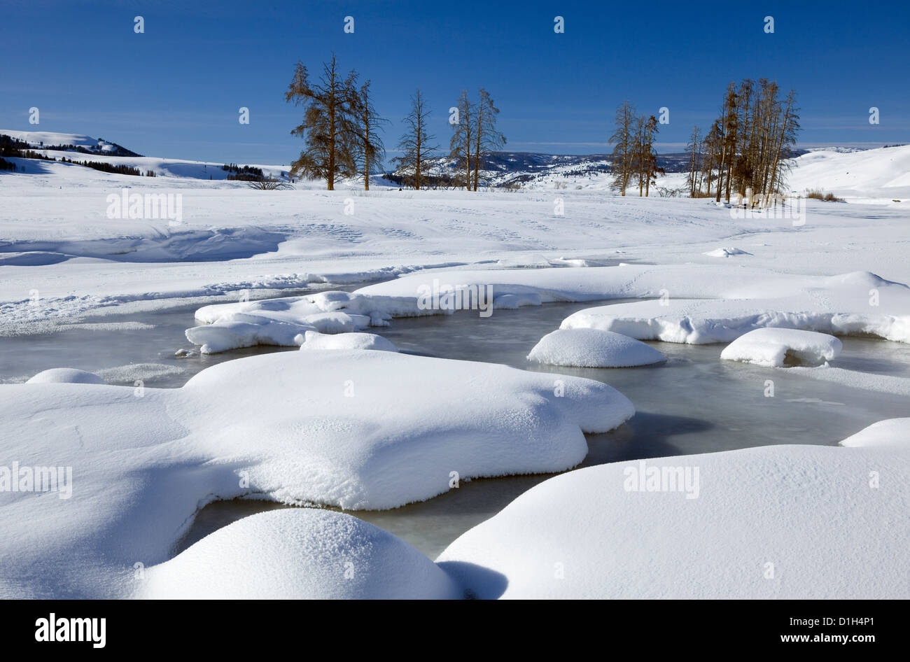 Lamar river hi-res stock photography and images - Alamy