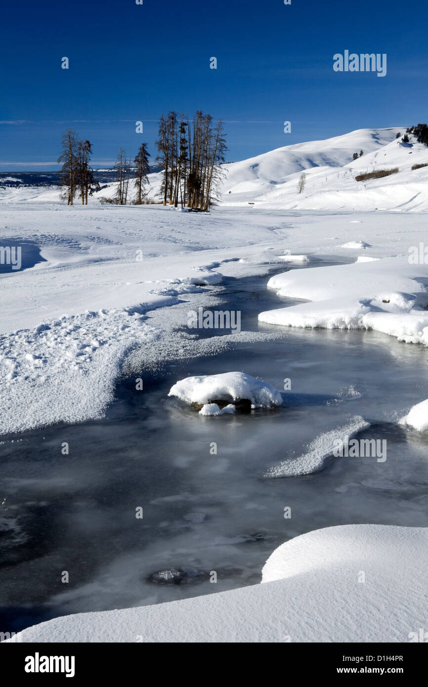 WY00176-00...WYOMING - Frozen Lamar River in the Lamar Valley of ...