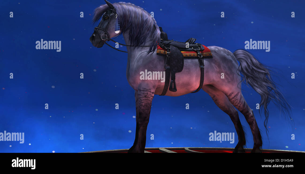 Silver stallion hi-res stock photography and images - Alamy